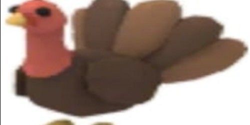 Beli Pet TURKEY - ADOPT ME Adopt Me Trading Hub Terlengkap dan Termurah ...