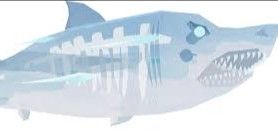 Buy Fish PHANTOM MEGALODON LIMITED | FISCH RBL Fisch 3121987 | itemku