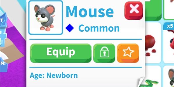 Buy Pet Mouse - Common Adopt Me Trading Hub 3184637 | itemku