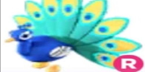 Buy Pet PEACOCK R - ADOPT ME Adopt Me Trading Hub cheapest June 2026 ...