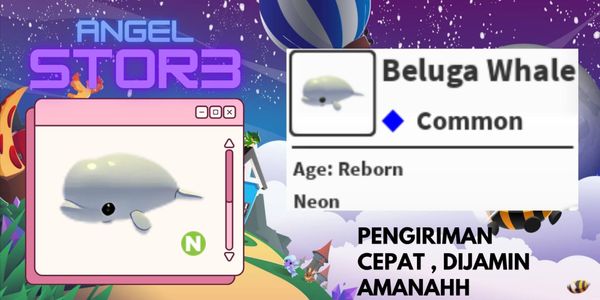 Beli Pet N Beluga Whale Adopt Me Trading Hub Terlengkap dan Termurah ...