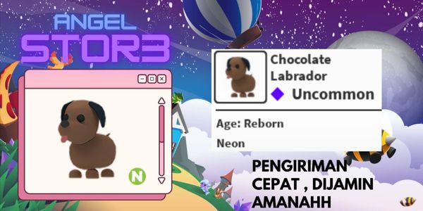 Buy Pet N Chocolate Labrador Adopt Me Trading Hub 3138066 | itemku
