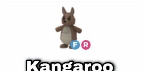 Buy Item Fly ride kangaroo RBL 2647964 | itemku