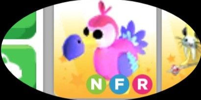 Beli Item NFR Dodo | Adopt me Roblox Terlengkap dan Termurah Maret 2024 ...