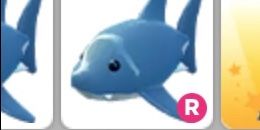 Buy Item R shark -adopt me RBL 2654573 | itemku