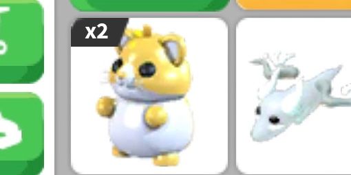 Beli Item Golden Hamster - Adopt Me Roblox Terlengkap dan Termurah ...