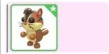 Buy Pet Chipmunk Pet Adopt Me Adopt Me Roblox Trading Hub 2726326 | itemku
