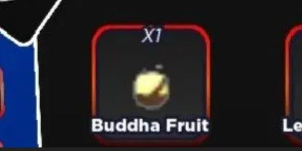 Buy Item Buddha fruit - one fruit RBL 2689314 | itemku