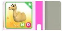 Beli Pet Camel NR Adopt Me Adopt Me Roblox Trading Hub Terlengkap dan ...