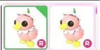 Beli Pet Flower Power Duckling R Adopt Me Adopt Me Roblox Trading Hub ...