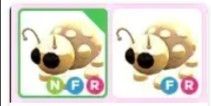 Buy Pet Golden Ladybug NFR Adopt Me Adopt Me Roblox Trading Hub 2727230 ...