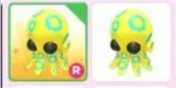 Beli Pet Blue Ringed Octopus R Adopt Me Adopt Me Trading Hub Terlengkap ...