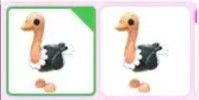 Buy Pet Ostrich Pet Adopt Me Adopt Me Roblox Trading Hub 2727860 | itemku