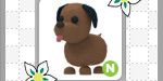Beli Pet Neon Chocolate Labrador - Adopt Me Adopt Me Roblox Trading Hub ...