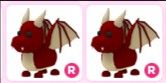 Beli Pet Dragon R Adopt Me Adopt Me Roblox Trading Hub Terlengkap dan ...