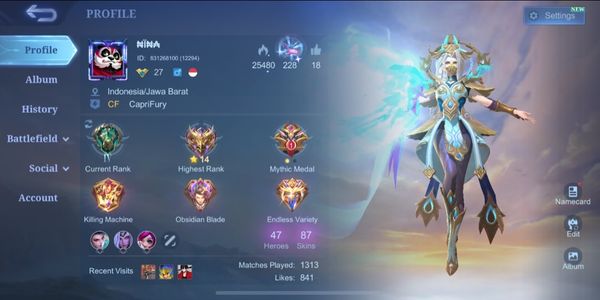 Buy Account (166) Mlbb Account Sultan Skin Legend Alu, Collector Hanabi ...