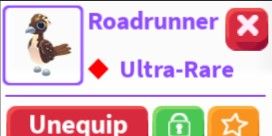 Beli Pet Roadrunner Adopt Me Roblox Trading Hub Terlengkap dan Termurah ...