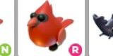 Buy Pet Red Cardinal R - Roblux Storee Adopt Me Trading Hub 2754270 ...