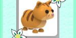 Beli Pet Ginger Cat - Adopt Me Adopt Me Trading Hub Terlengkap dan ...