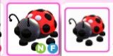 Buy Pet Ladybug NF Adopt Me Adopt Me Roblox Trading Hub 2756132 | itemku