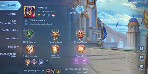 Buy Account SPECIAL PROMOTION Mobile Legends Account Hero54 Skin67 ...