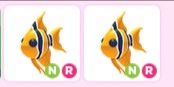 Beli Pet Angelfish NR Adopt Me Adopt Me Roblox Trading Hub Terlengkap ...