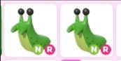 Beli Pet Slug NR Adopt Me Adopt Me Roblox Trading Hub Terlengkap dan ...