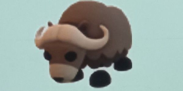 Buy Pet Normal/No Potion Musk Ox (Rare) Rare Pet Adopt me Adopt Me ...
