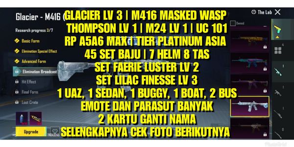 Beli Akun GLACIER LV 3 | M416 MASKED WASP THOMPSON LV 1 | M24 LV 1 | UC ...
