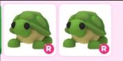 Buy Pet Turtle R Adopt Me Adopt Me Trading Hub 2792983 | itemku