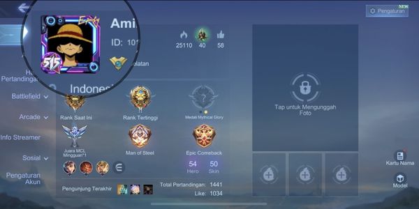 Buy Account (185) Akun Mlbb Skin Collector Valir, Epic Lancelot Saber ...