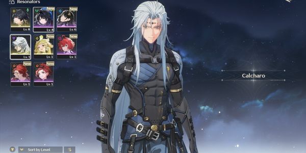 Buy Account [STARTER] CHALCARO + VERINA SERVER [SEA] MC GIRL Wuthering ...