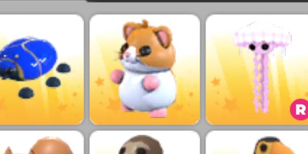 Beli Item Hamster - Adopt Me Roblox Terlengkap dan Termurah Juni 2024 ...
