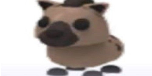 Beli Pet HYENA Adopt Me Roblox Trading Hub Terlengkap dan Termurah Juli ...
