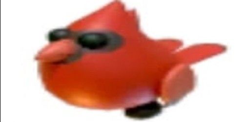Buy Pet RED CARDINAL Adopt Me Roblox Trading Hub 2801468 | itemku