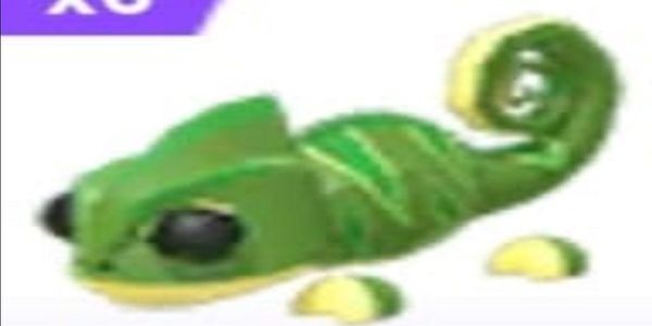 Beli Pet CHAMELEON Adopt Me Roblox Trading Hub Terlengkap dan Termurah ...
