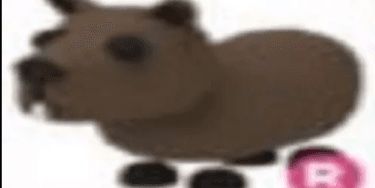 Buy Pet Capybara R (Ride) - Adopt Me Adopt Me Roblox Trading Hub ...