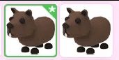 Buy Pet Capybara - Adopt Me Adopt Me Roblox Trading Hub 2802392 | itemku