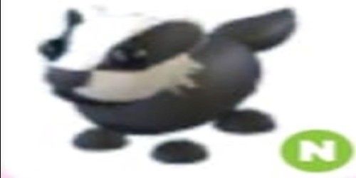 Buy Pet BADGER N Adopt Me Trading Hub 2817218 | itemku