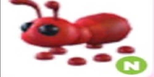 Beli Pet ANT N Adopt Me Roblox Trading Hub Terlengkap dan Termurah Juni ...