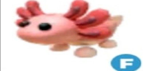Beli Pet AXOLOTL F Adopt Me Roblox Trading Hub Terlengkap dan Termurah ...