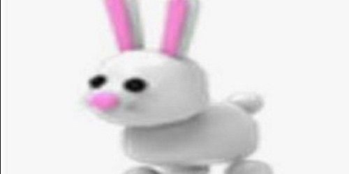 Beli Pet BUNNY Adopt Me Roblox Trading Hub Terlengkap dan Termurah Juni ...