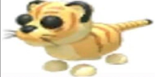 Buy Pet LIGER Adopt Me Trading Hub 2829726 | itemku