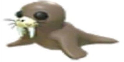 Buy Pet WALRUS Adopt Me Roblox Trading Hub 2829753 | itemku
