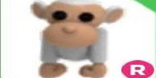Beli Pet ALBINO MONKEY R Adopt Me Roblox Trading Hub Terlengkap dan ...