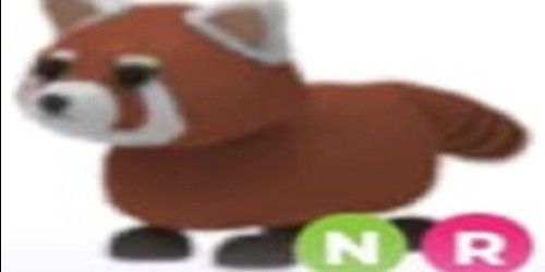 Buy Pet RED PANDA NR Adopt Me Roblox Trading Hub 2831516 | itemku