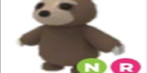 Buy Pet SLOTH NR Adopt Me Trading Hub 2831522 | itemku