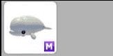 Beli Pet Beluga Whale M (Mega Neon) - Adopt Me Adopt Me Roblox Trading ...