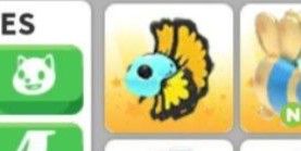 Beli Pet blue betta fish legendary - adopt me Adopt Me Trading Hub ...