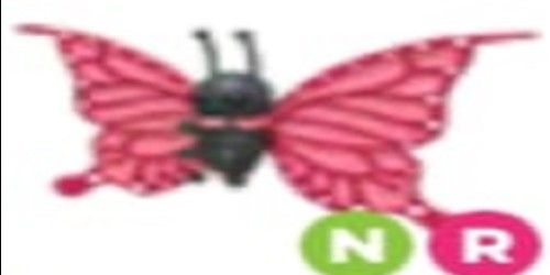 Buy Pet 2021 UPLIFT BUTTERFLY NR Adopt Me Trading Hub 2835982 | itemku